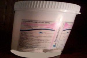 Antibiotics for chickens: a list of the TOP 16 best drugs, how to use ...