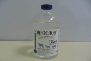 Antibiotics for chickens: a list of the TOP 16 best drugs, how to use ...